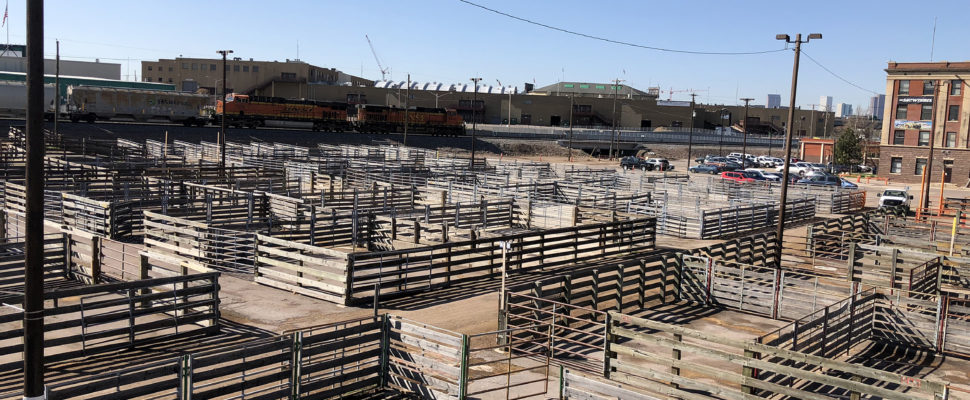 HIC Active Construction Projects - National Western Center